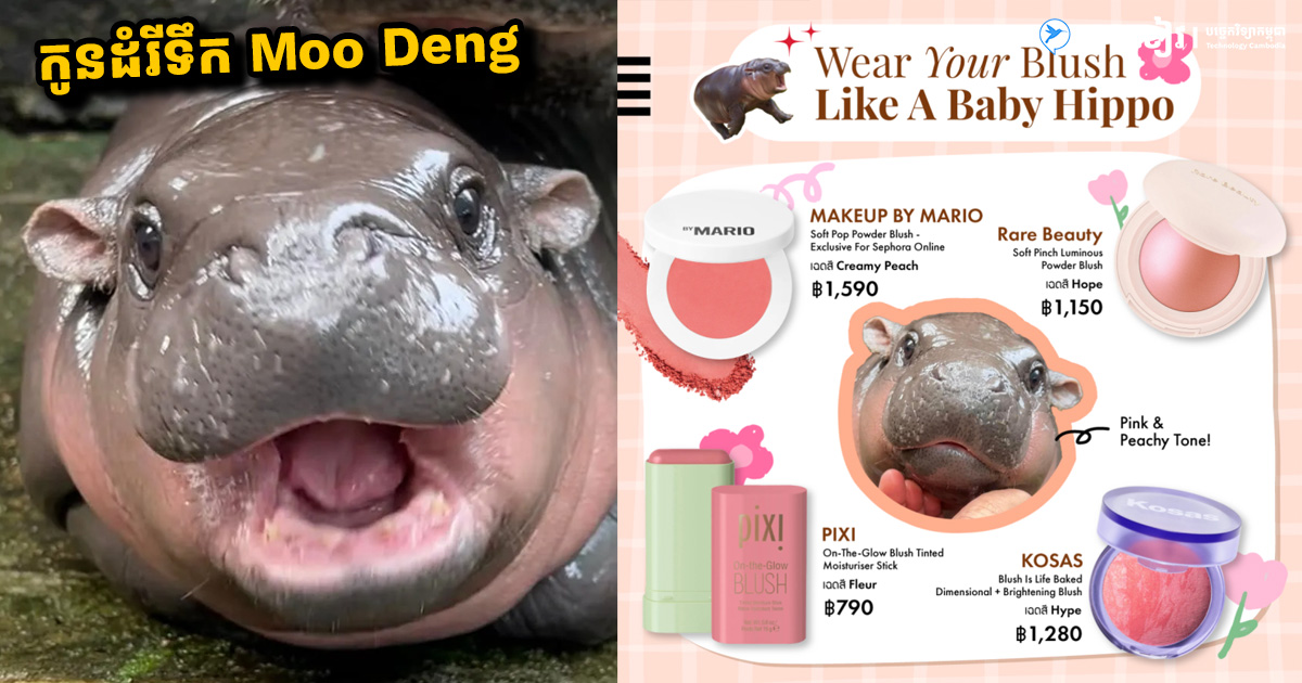 សួនសត្វថៃប្រើកូនដំរីទឹក Moo Deng ...