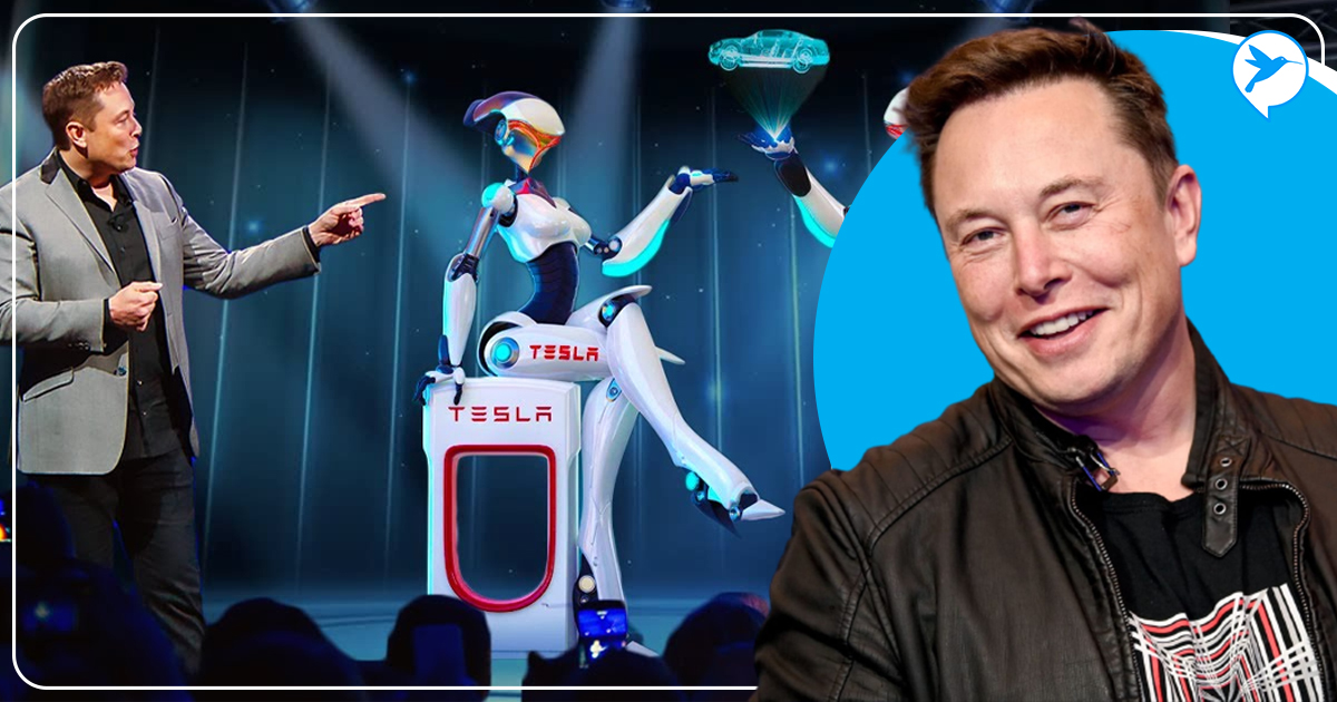 ចង់ទិញទេ? Musk បង្ហើបថាមនុស្សយន្តរបស់គាត់អាចធ្វើការងារដាំបាយ កាត់ស្មៅ ...