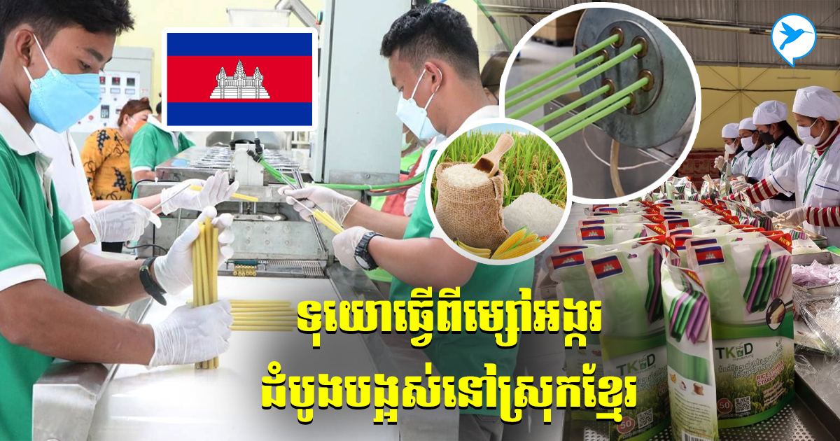 ទុយោបរិស្ថាន! កូនខ្មែរបង្កើតទុយោចេញពីម្សៅអង្ករ ...