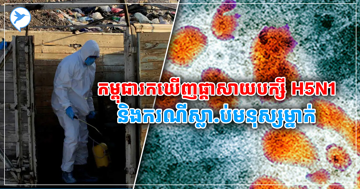 ក្ដៅៗ! CDC កម្ពុជាប្រកាសពីការឆ្លងផ្ដាសាយបក្សី H5N1 ដែលបានបណ្ដាលឲ្យកុមារីខ្មែរម្នាក់បាត់បង់ជីវិត